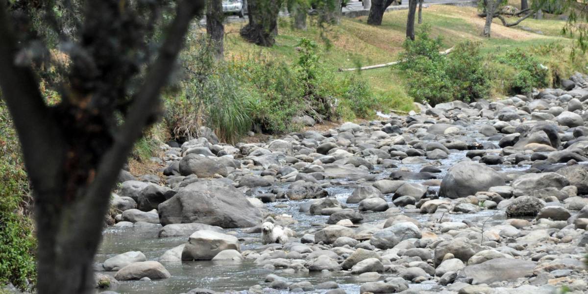 Vuelve a niveles de estiaje el río Tarqui en Cuenca | Sucre Noticias